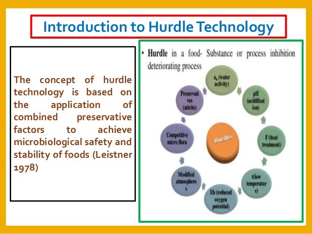 Hurdle Technology - Anas Shaikh - 13FET1006