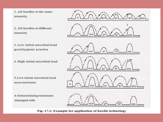 Hurdle technology for food preservation | PPTX