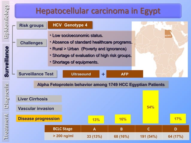 Surveillance And Management of HCC (2).ppt | Blood Disorders | Diseases ...