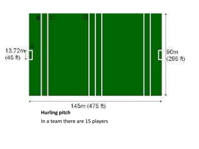 Hurling 8b | PPT