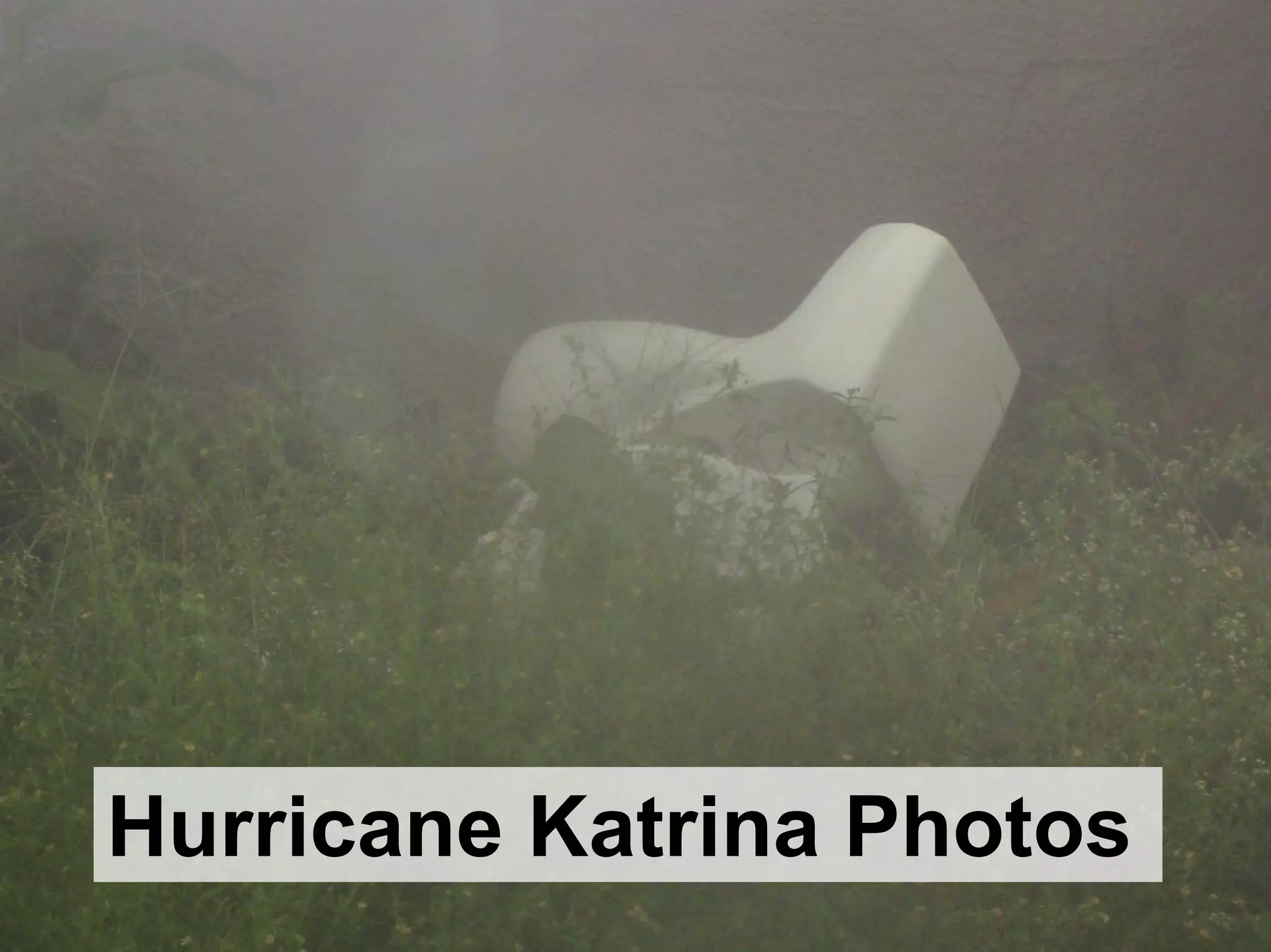 Hurricane Katrina | PDF