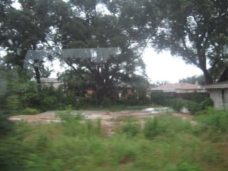 Hurricane Katrina | PDF
