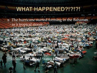 Hurricane Katrina | PPT