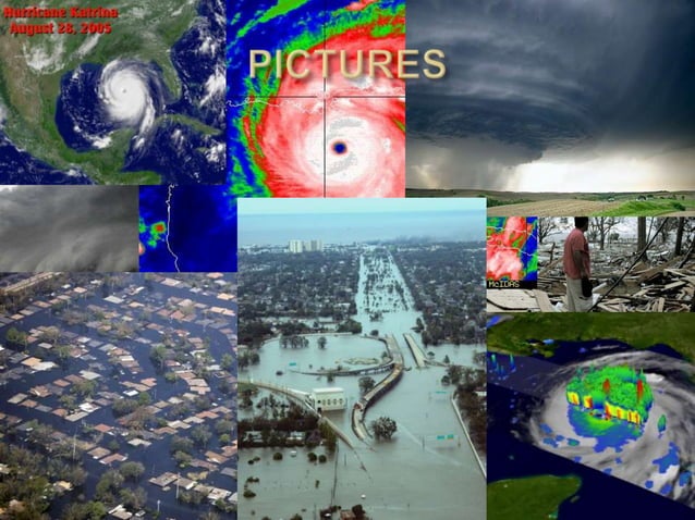 Period 2 Hurricane Katrina | PPT