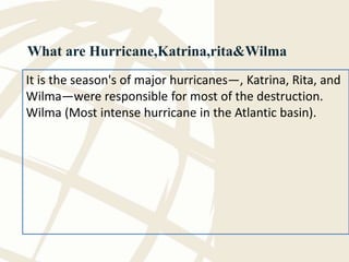 Hurricane, katrina, rita&wilma impact on environment health | PPTX
