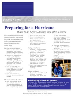 Hurricane preparedness white paper | PDF