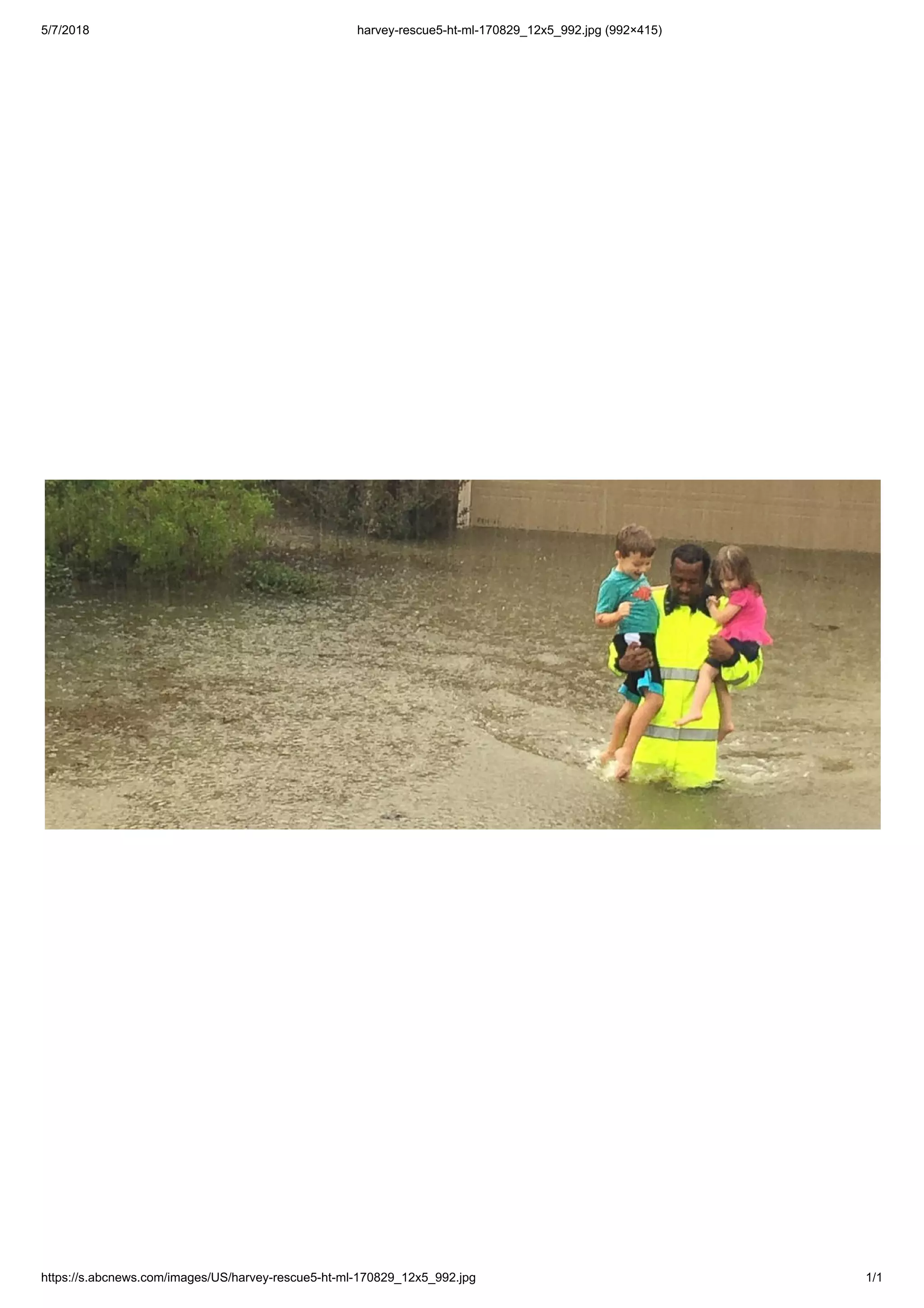 Hurricane rescue | PDF