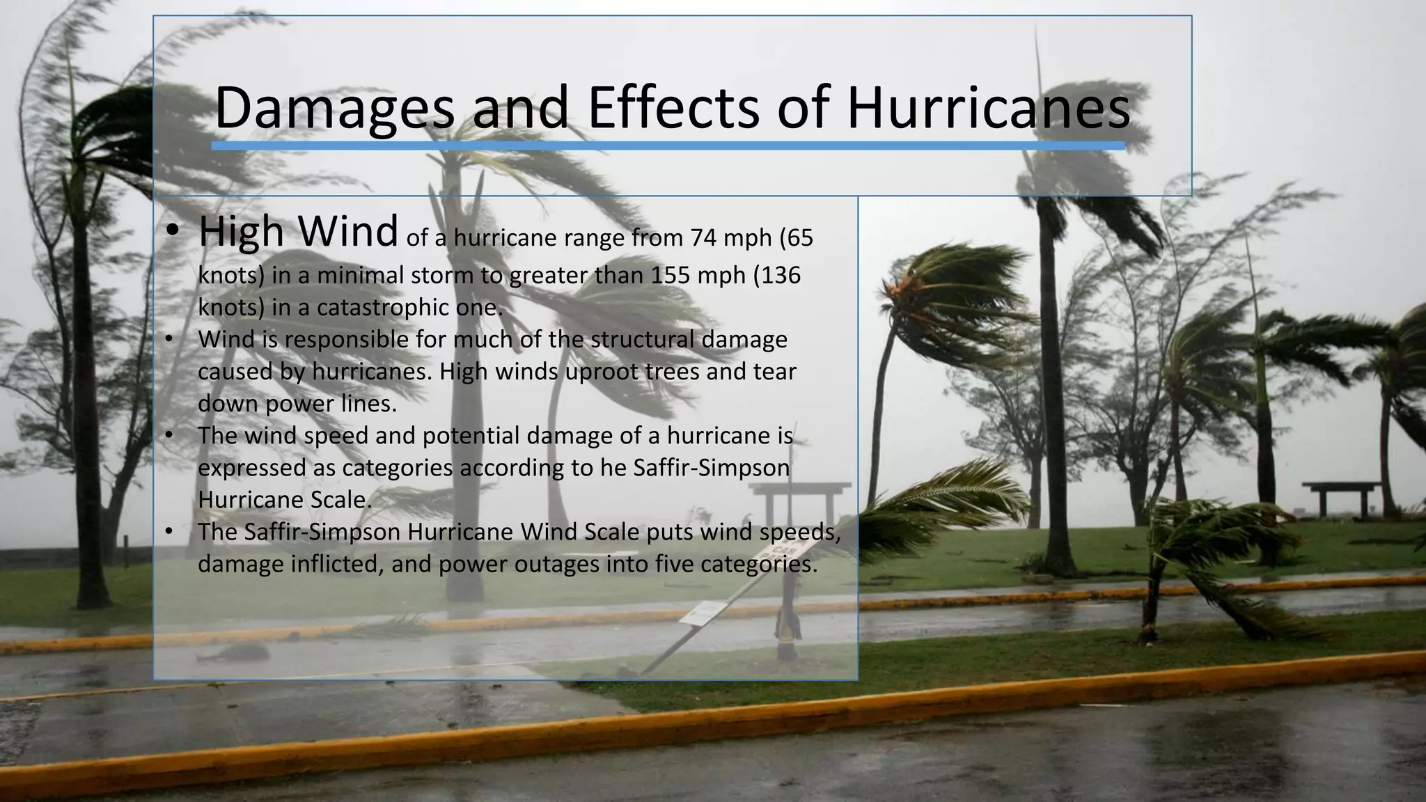 Hurricanes ppt | PPTX