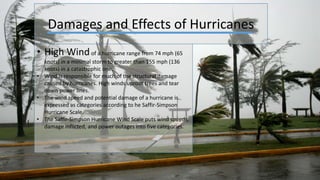 Hurricanes ppt | PPTX