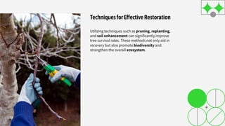 Hurricane Tree Restoration Services: Restoring Nature's Beauty and ...