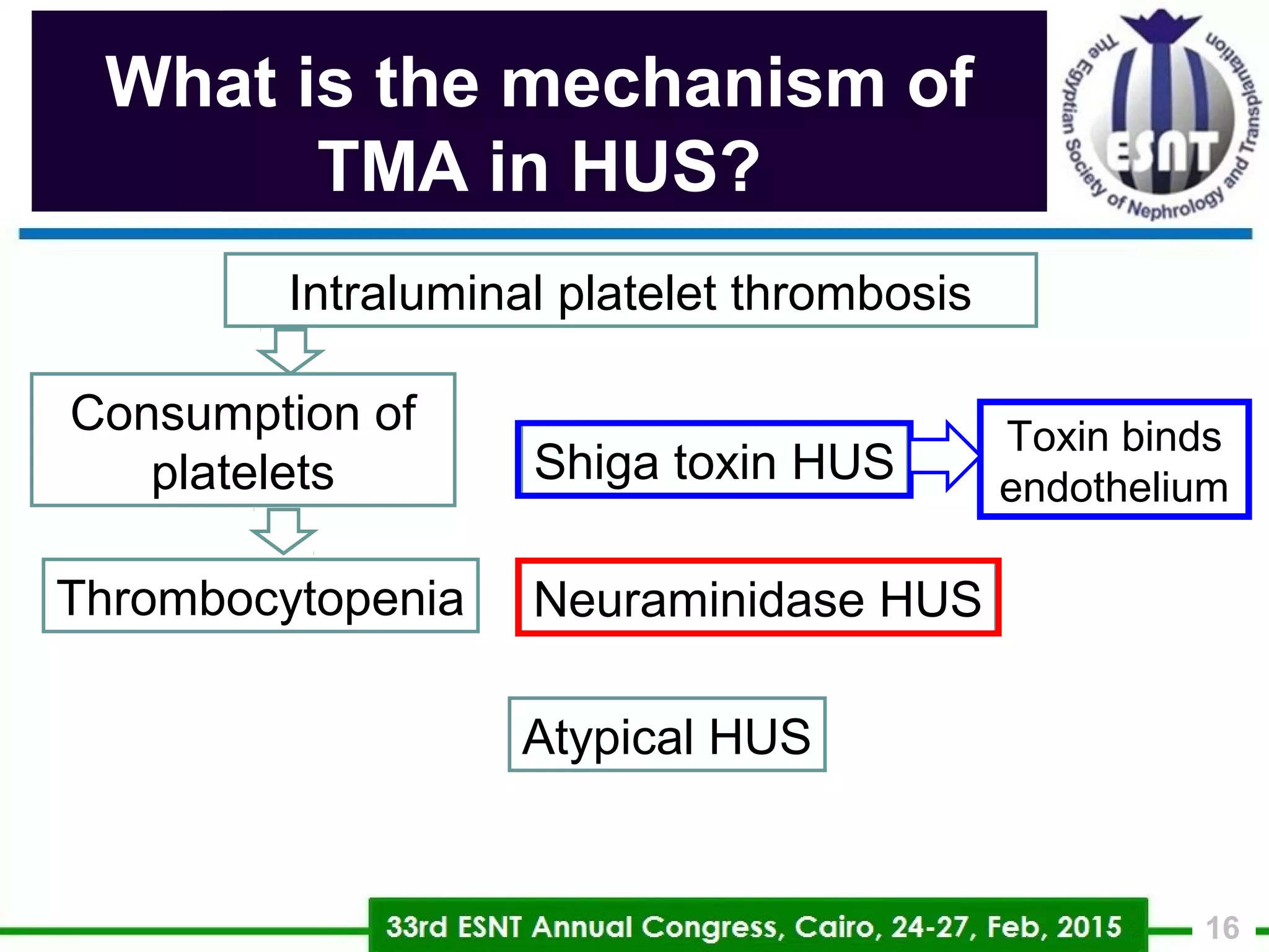Hemolytic Uremic Syndrome Induced AKI (From Pathogenesis to Bedside ...