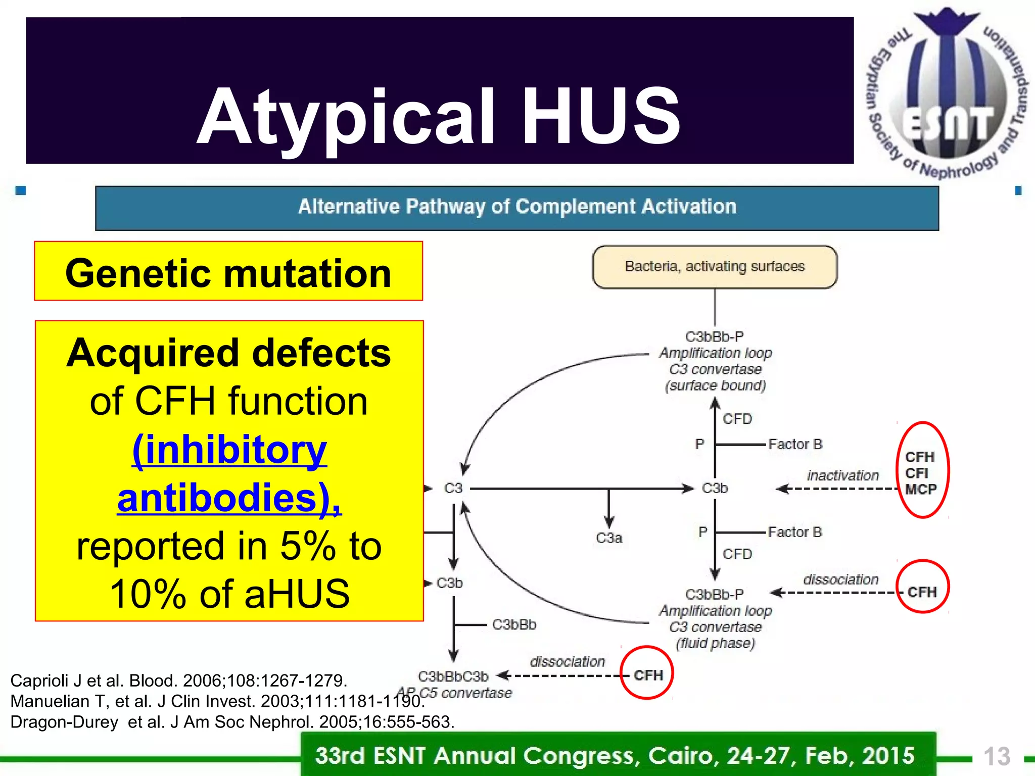 Hemolytic Uremic Syndrome Induced AKI (From Pathogenesis to Bedside ...