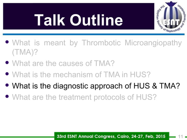 Hemolytic Uremic Syndrome Induced AKI (From Pathogenesis to Bedside ...