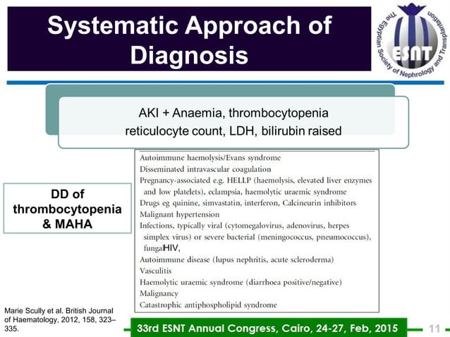 Hemolytic Uremic Syndrome Induced AKI (From Pathogenesis to Bedside ...