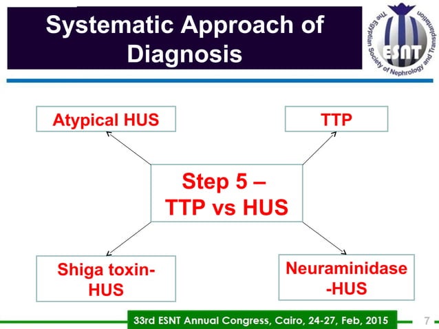 Hemolytic Uremic Syndrome Induced AKI (From Pathogenesis to Bedside ...
