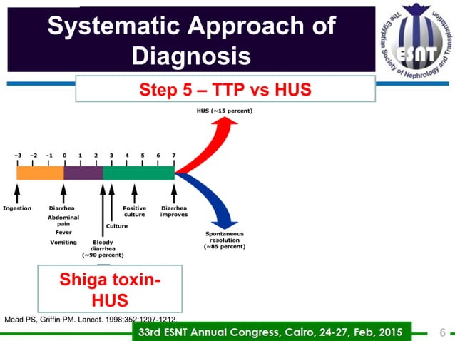 Hemolytic Uremic Syndrome Induced AKI (From Pathogenesis to Bedside ...