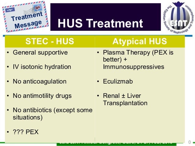 Hemolytic Uremic Syndrome Induced AKI (From Pathogenesis to Bedside)