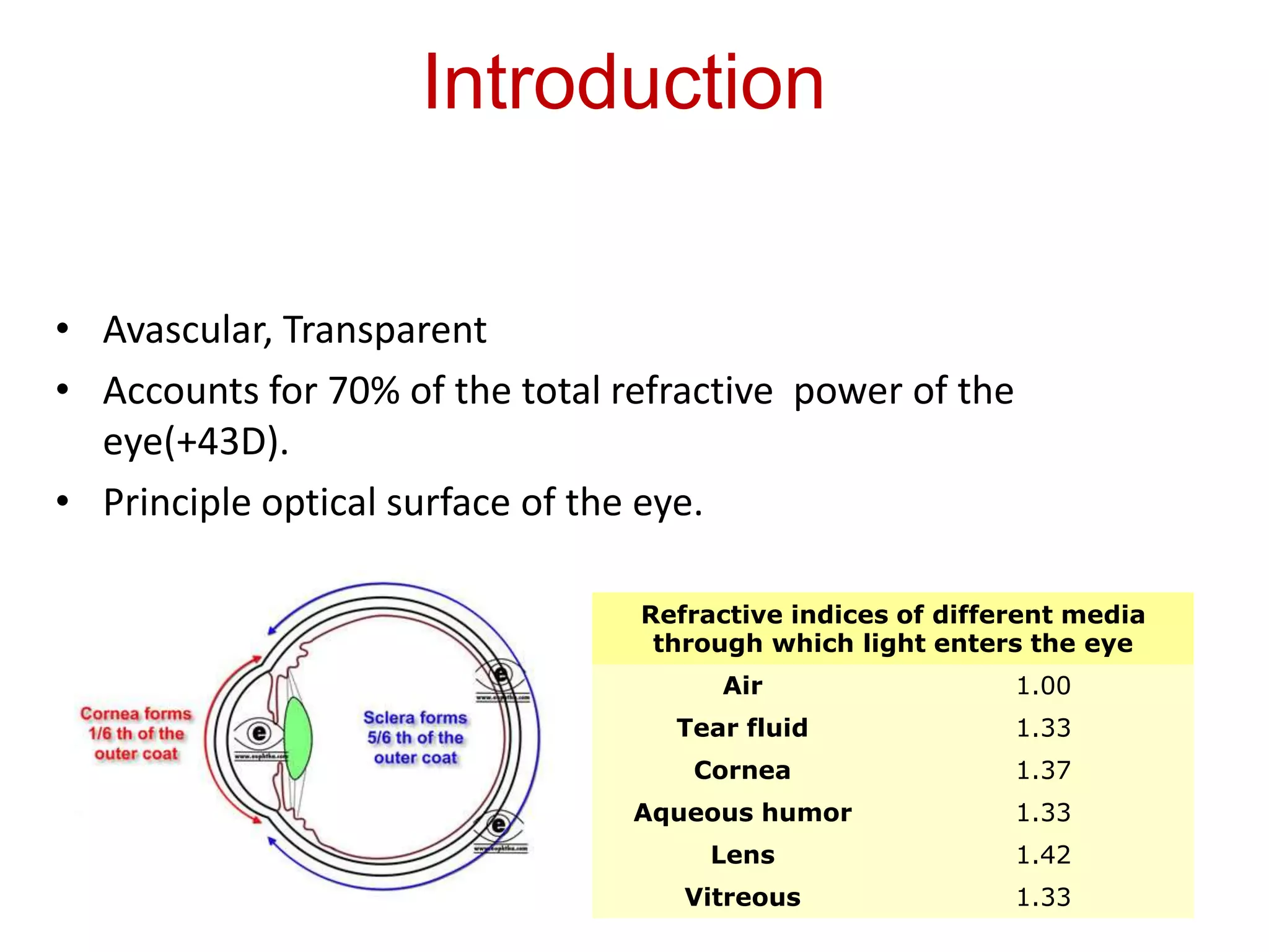 Anatomy Of Cornea | PPTX