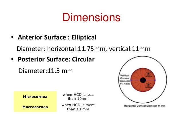 Anatomy Of Cornea