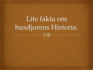 Husdjurens dag | PPTX