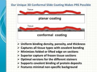 PRS: Co-resident Objective Measure of IHC Stain Performance for Process ...