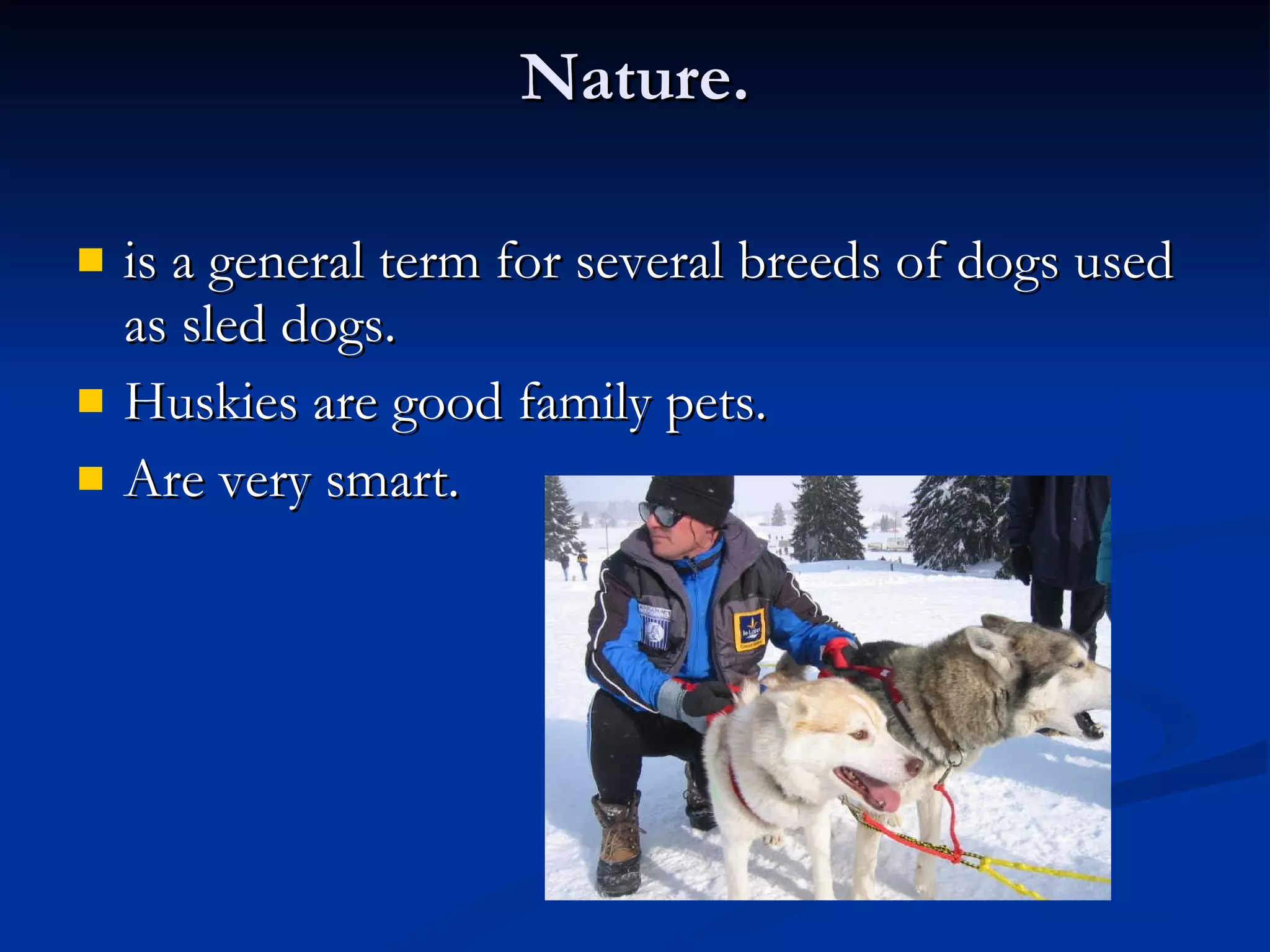 Husky | PPT