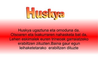 Huskya.auritz | ODP