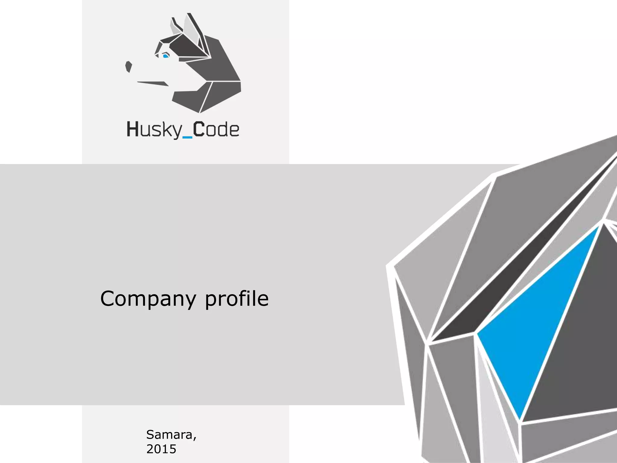 Husky Code Ltd. - for partners | PPT