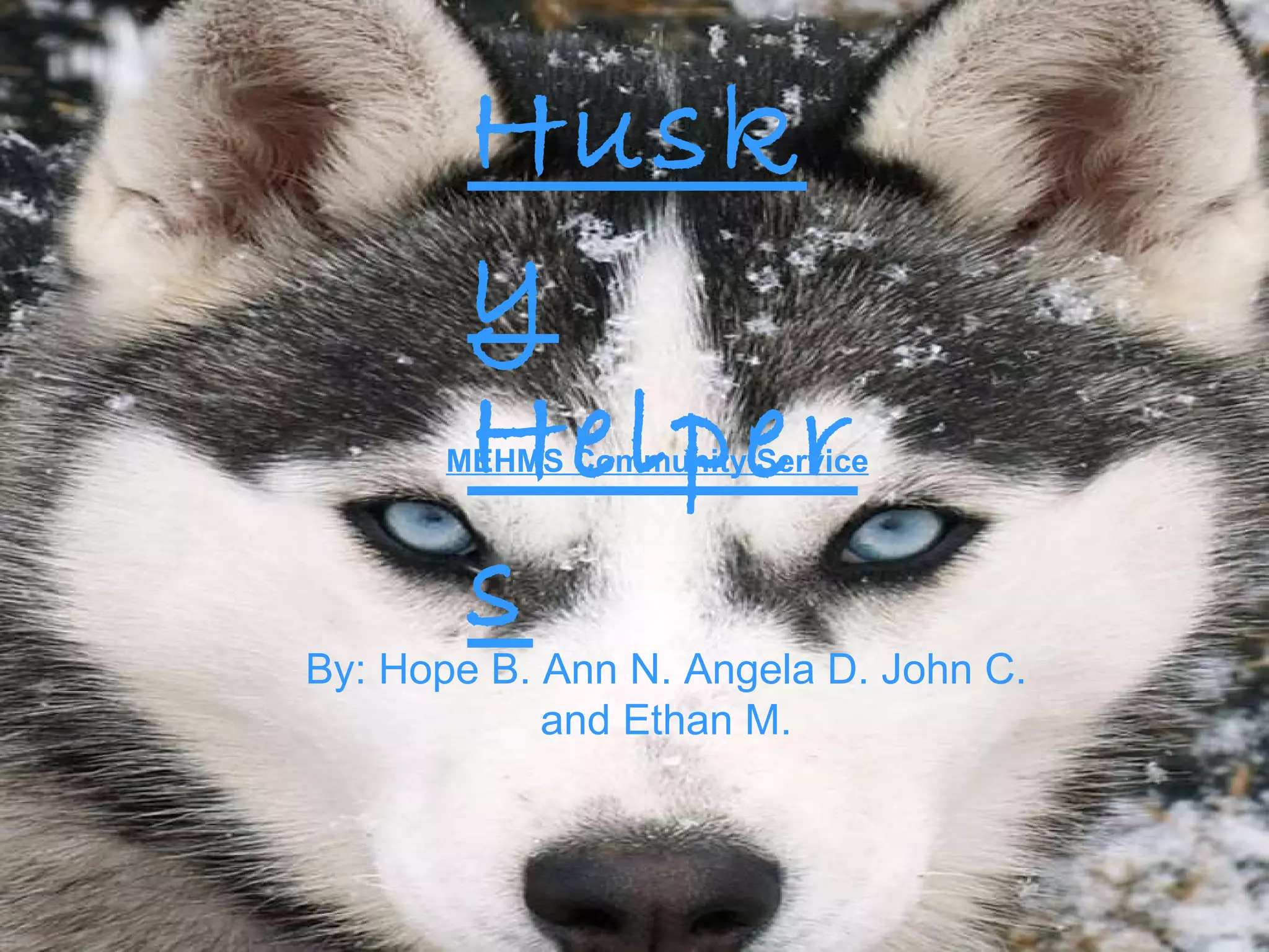 Husky helpers | PPT