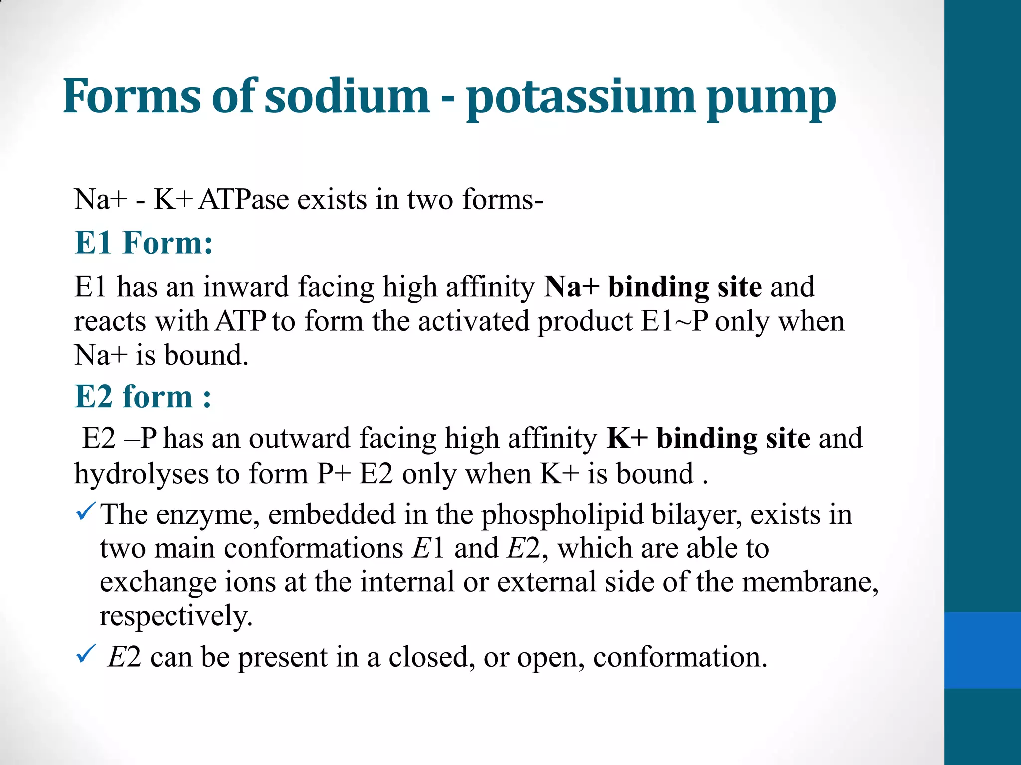 sodium potassium pumps | PPTX
