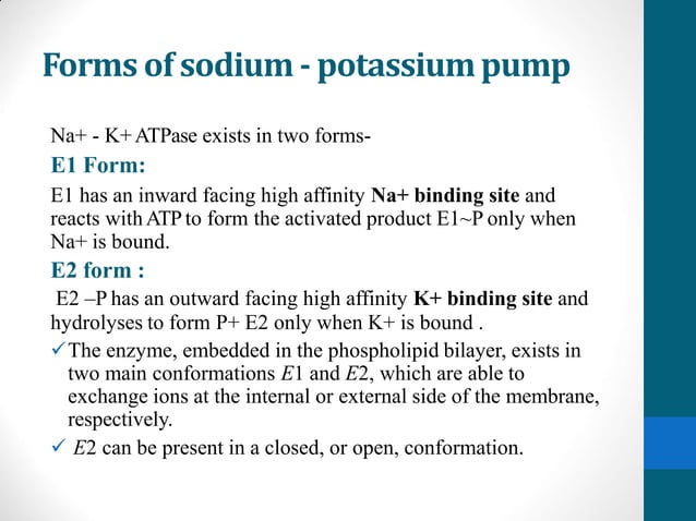 sodium potassium pumps | PPTX