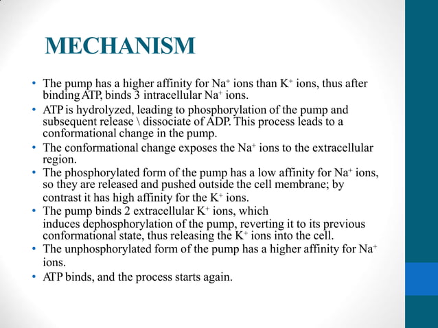 sodium potassium pumps | PPTX