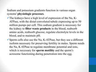 sodium potassium pumps | PPTX