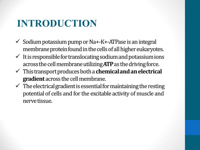 sodium potassium pumps | PPTX