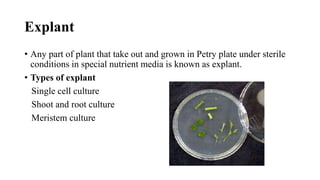 Rinsnsjsbs snisnensnsjdn dnshsno 45.pptx