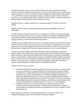 Husos neuromusculares | DOCX