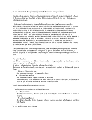 Husos neuromusculares | DOCX