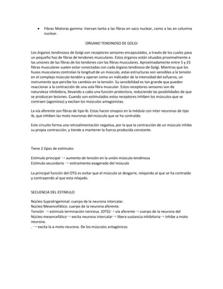 Husos neuromusculares | DOCX