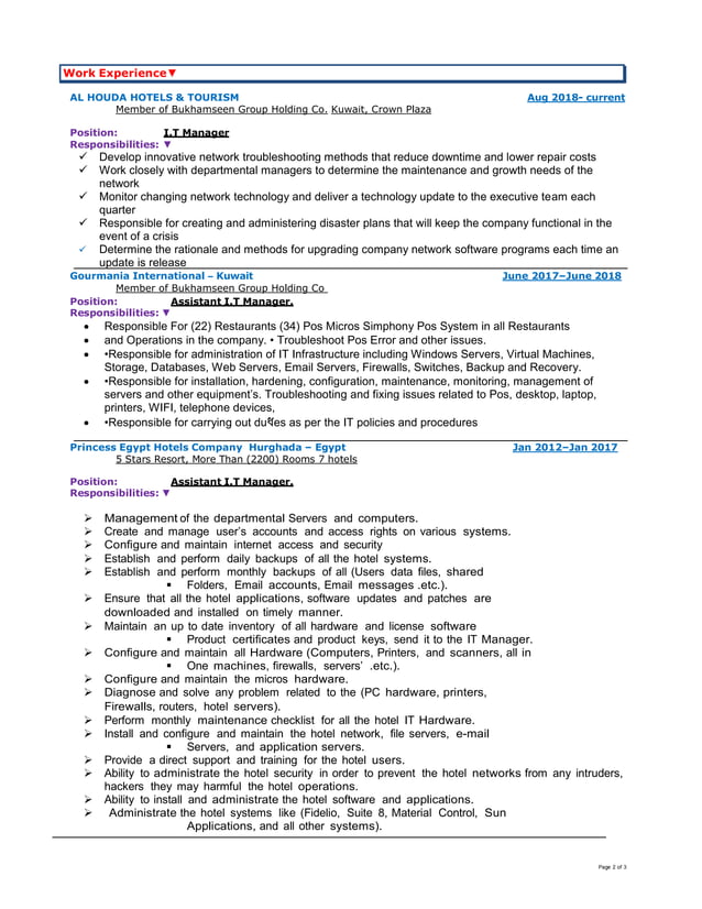 Hussein saad c.v 2019 | PDF
