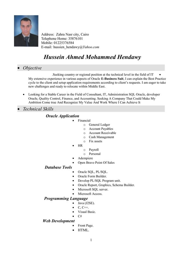 Hussien cv 1 | DOC | IT and Internet Support | Internet