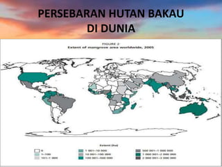 Hutan Bakau | PPTX