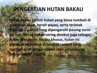 Hutan Bakau | PPT