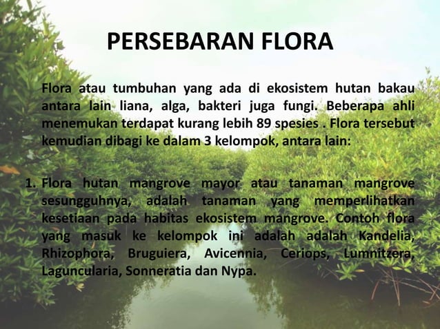 Hutan Bakau | PPT