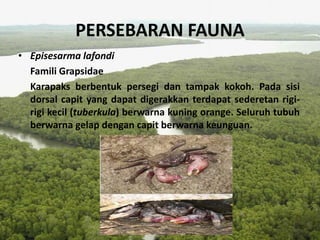 Hutan Bakau | PPT