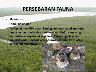 Hutan Bakau | PPT