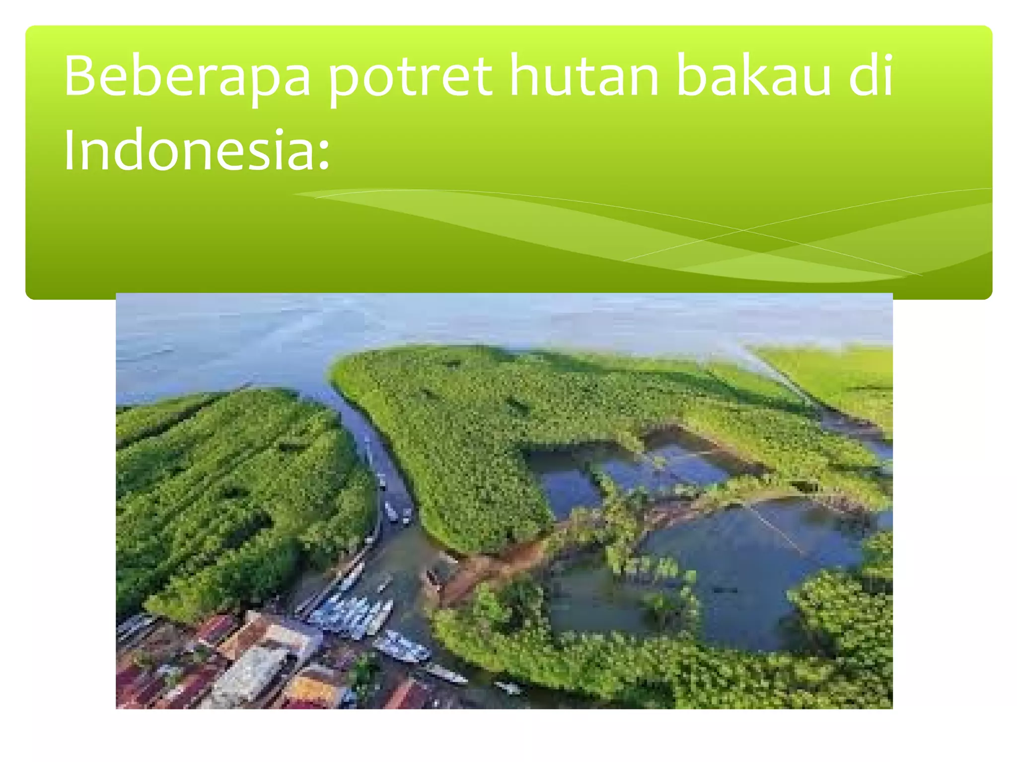 Hutan bakau | PPT