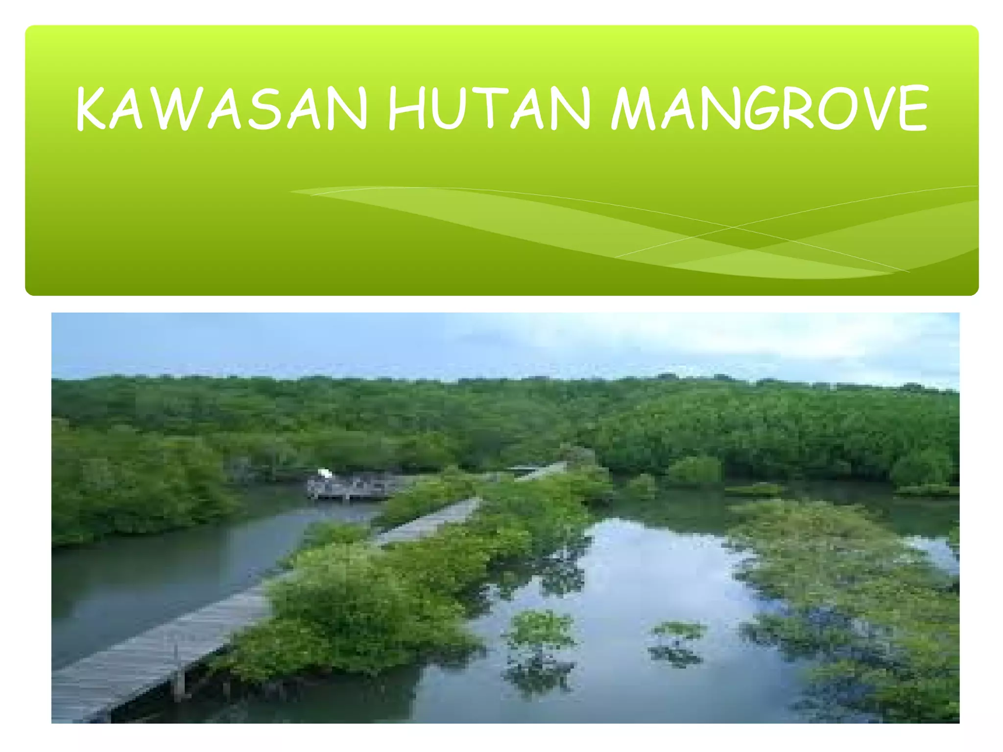 Hutan bakau | PPT