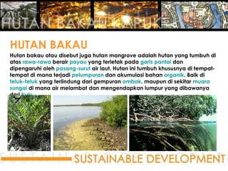 Hutan Bakau Kapuk | PPT