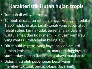 Bioma Hutan Hujan Tropis di Kalimantan Indonesia | PPT