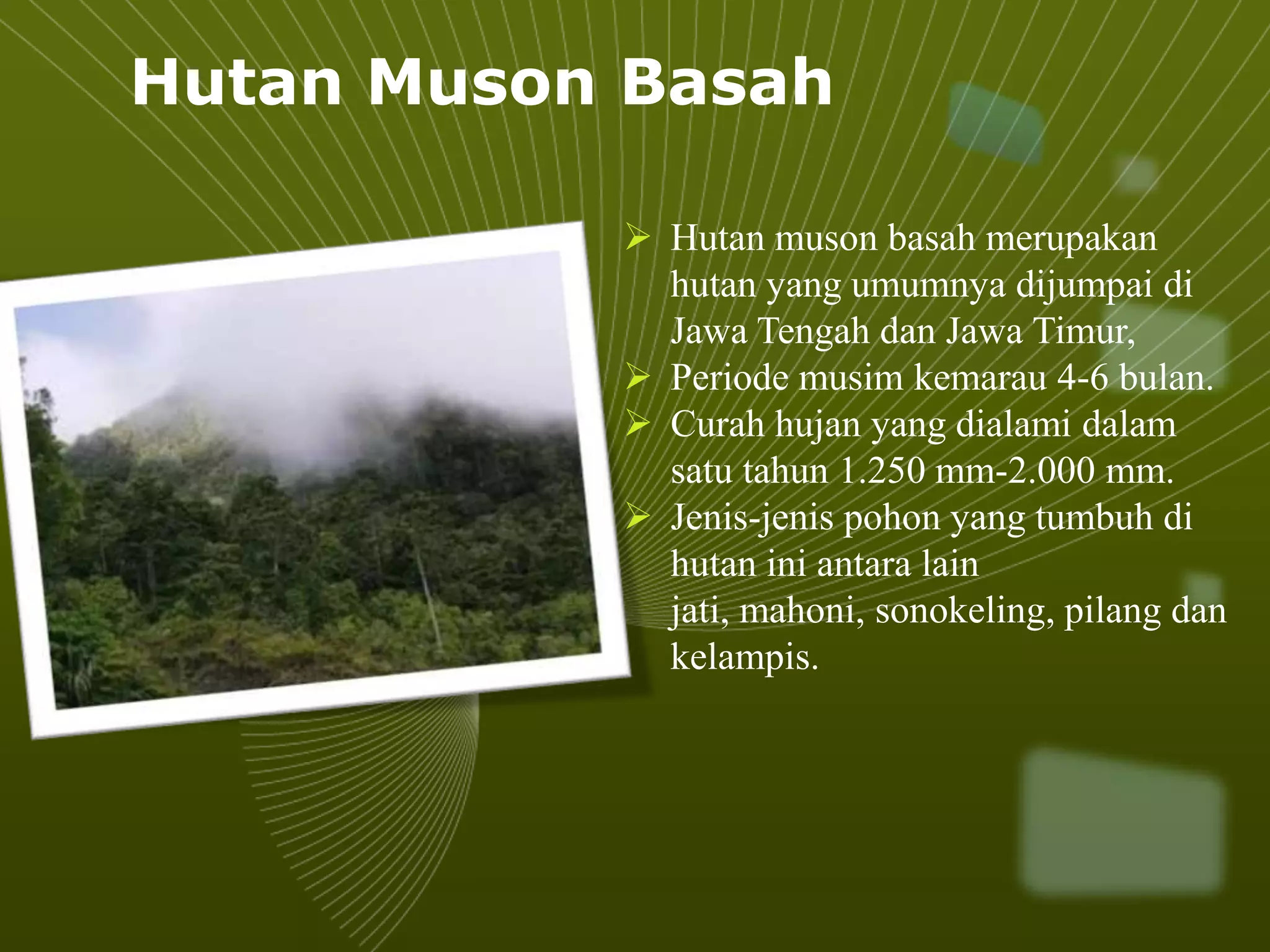 Hutan hujan tropis | PPTX